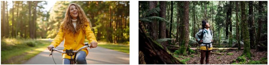 7 Ways To Learn About Green Tourism Discover The World Preserve Its