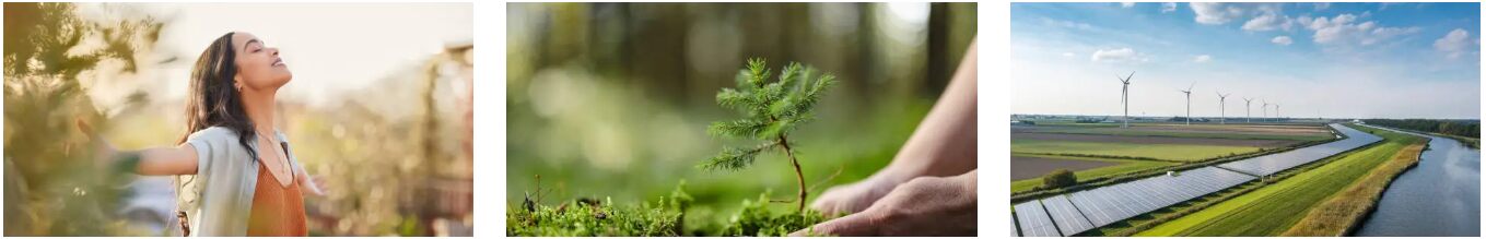 '7 Ways To Learn About Green Tourism' Discover The World, Preserve Its ...